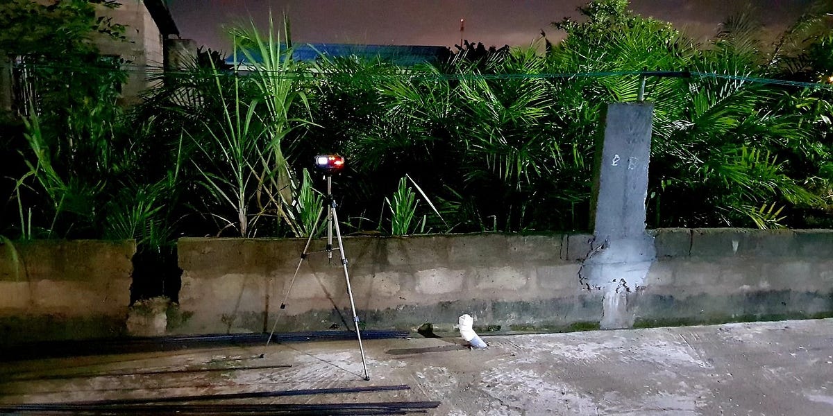 Under Kofi Ofori's tree - by Stuart Fowkes