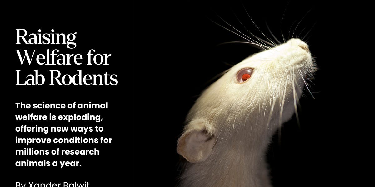 Raising Welfare for Lab Rodents