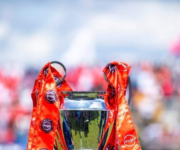 Red Arrows Book 2024 ABSA Cup Ticket