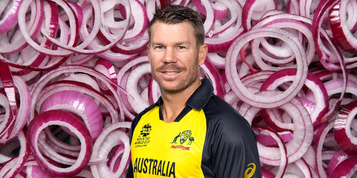 David Warner, onions and retirements