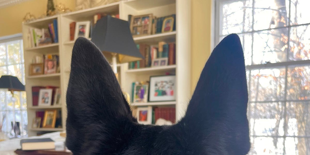 Mists - by J. F. Riordan