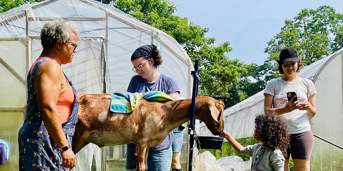 19. Sensible and human things. - by Jodi Rhoden