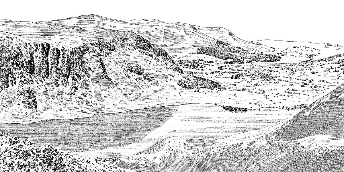 Hefted newsletter #5: November 2024