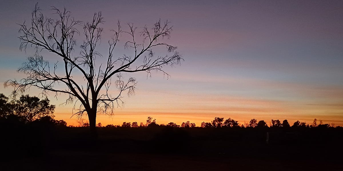 Why being regular is good