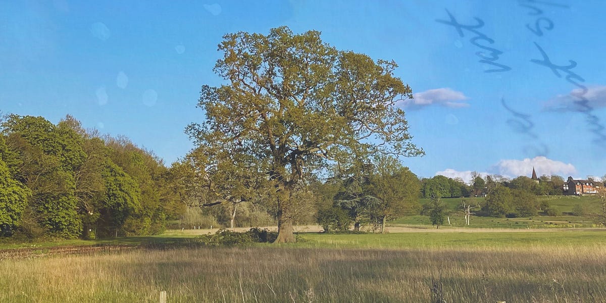 The Complex Magic of Nature - by Beth Axford - Oh My Stars!