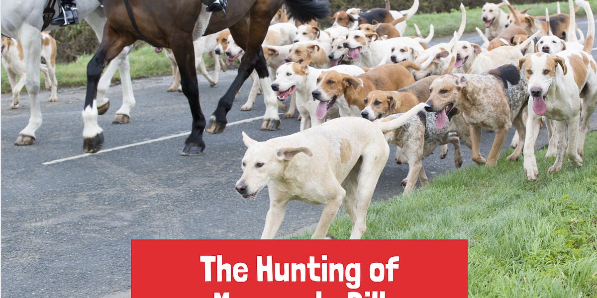 Inside Protect the Wild: why a 'Proper Ban on Hunting'?