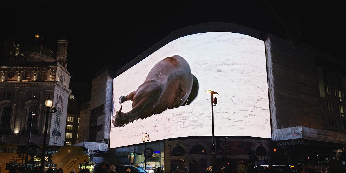 Art on the big(gest) screen - maxwell museums