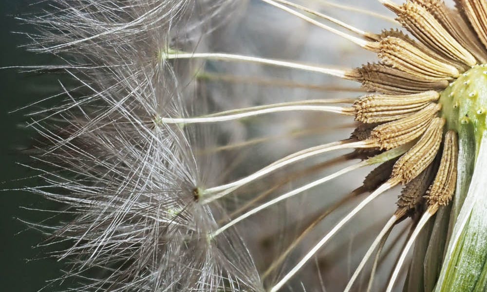 Leadership Ecosystem: Why it Matters?