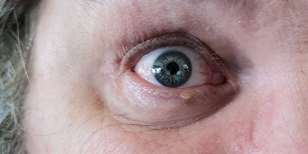 Chicken Sense - by Robert Aho