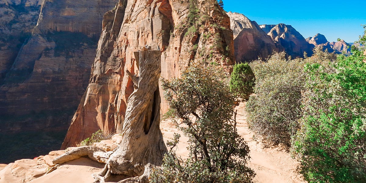 Utah National Parks Road Trip Itinerary - maura’s substack