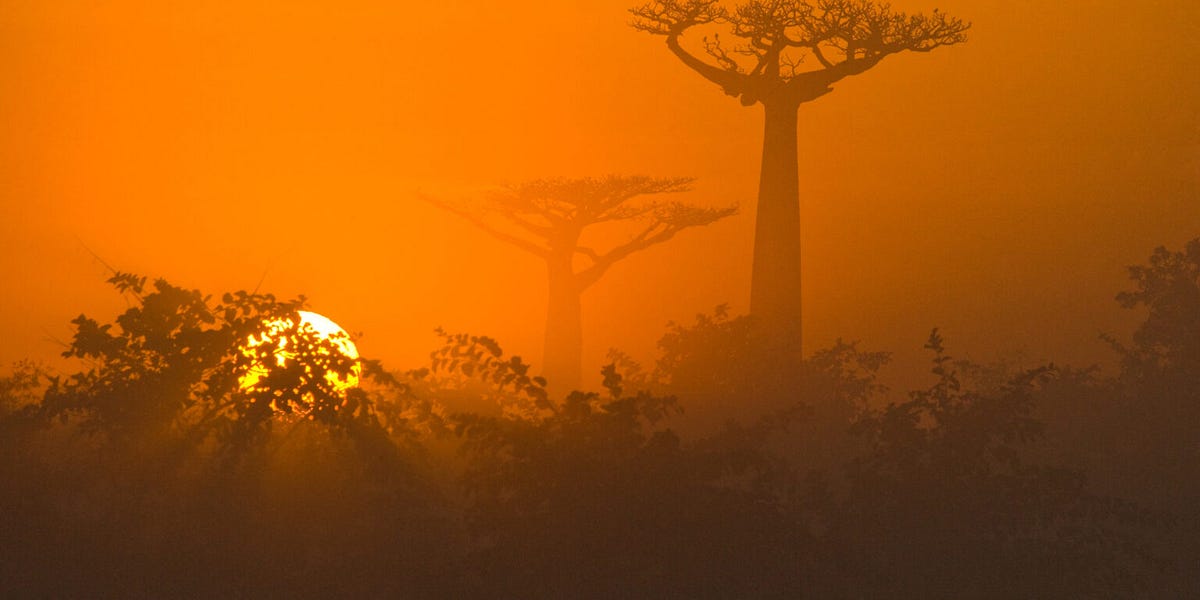 La svestizione - by Tersite Rossi - Il dispaccio di Tersite