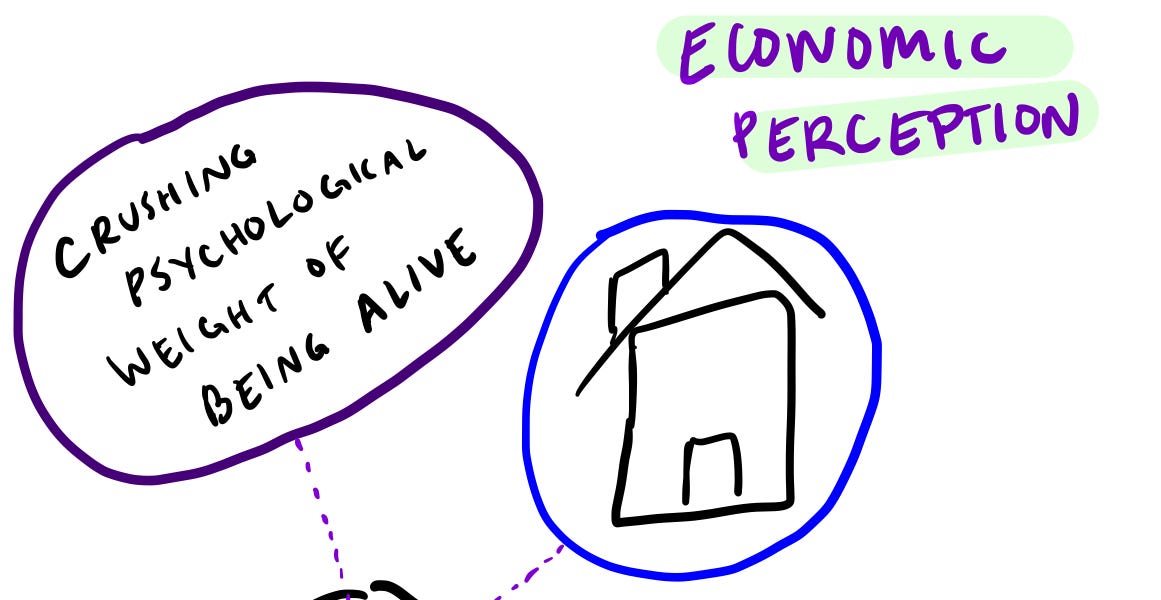 The Economic Perception Model - by kyla scanlon