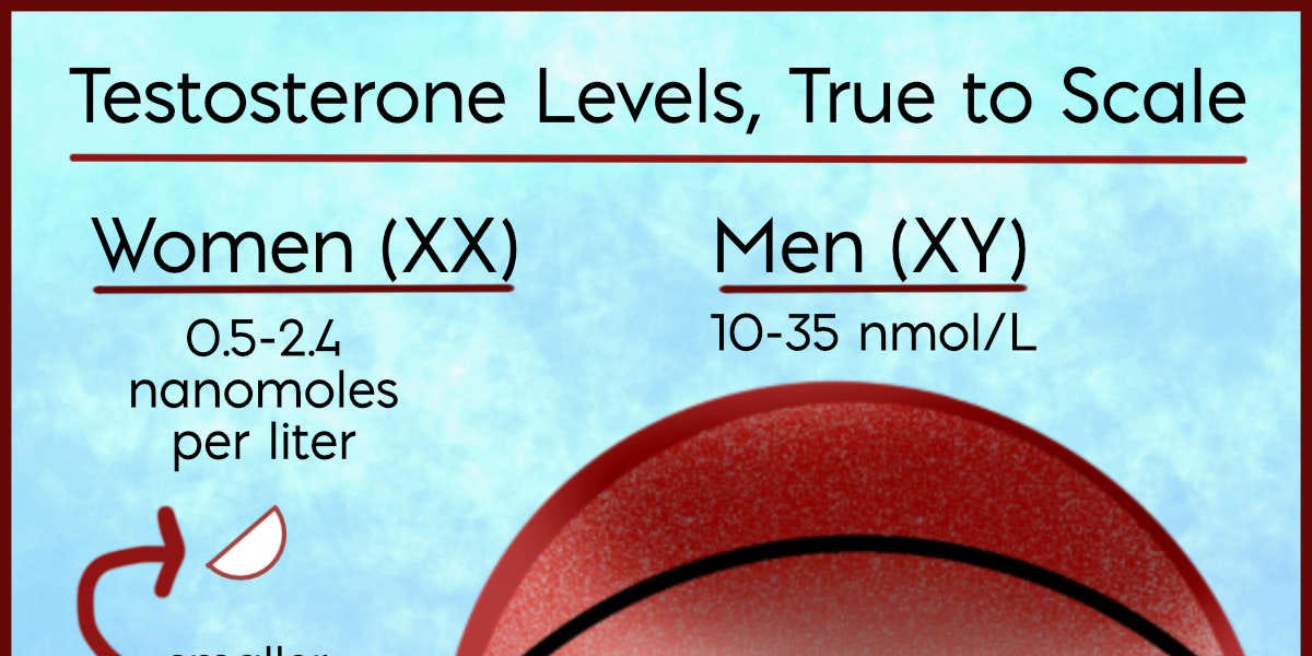 Riddle: What Is an XY, High-Testosterone Boxer?