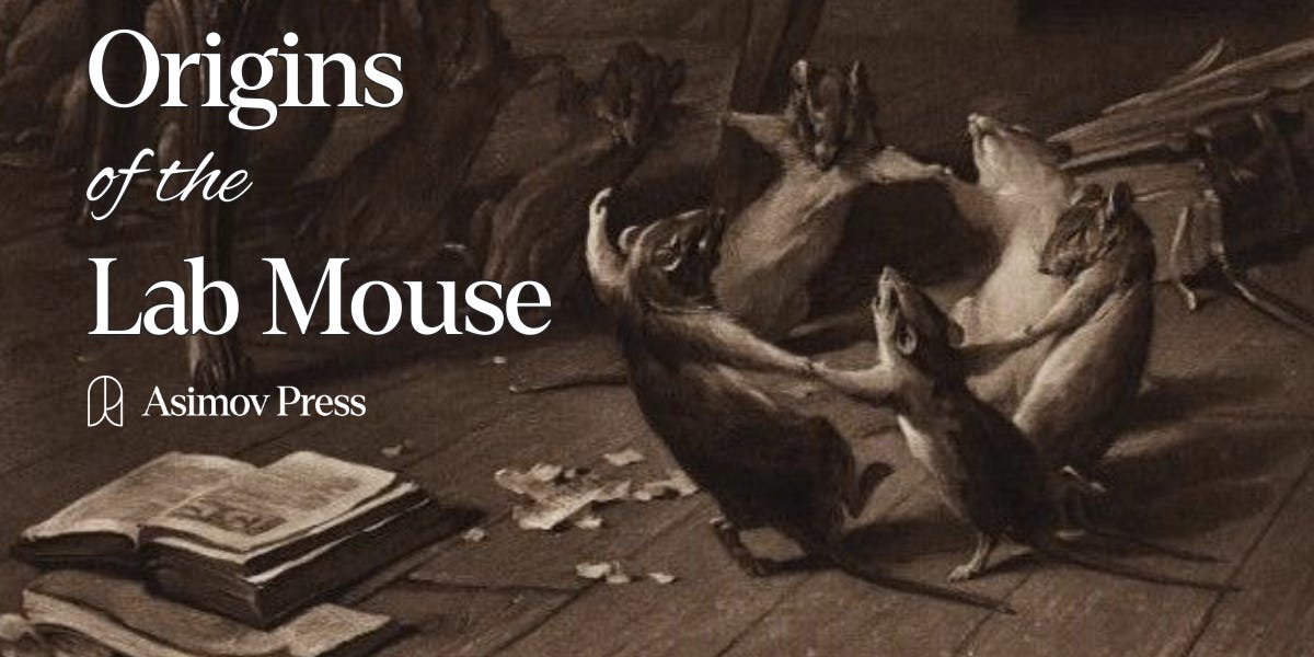 Origins of the Lab Mouse - by Asimov Press and Alex Telford