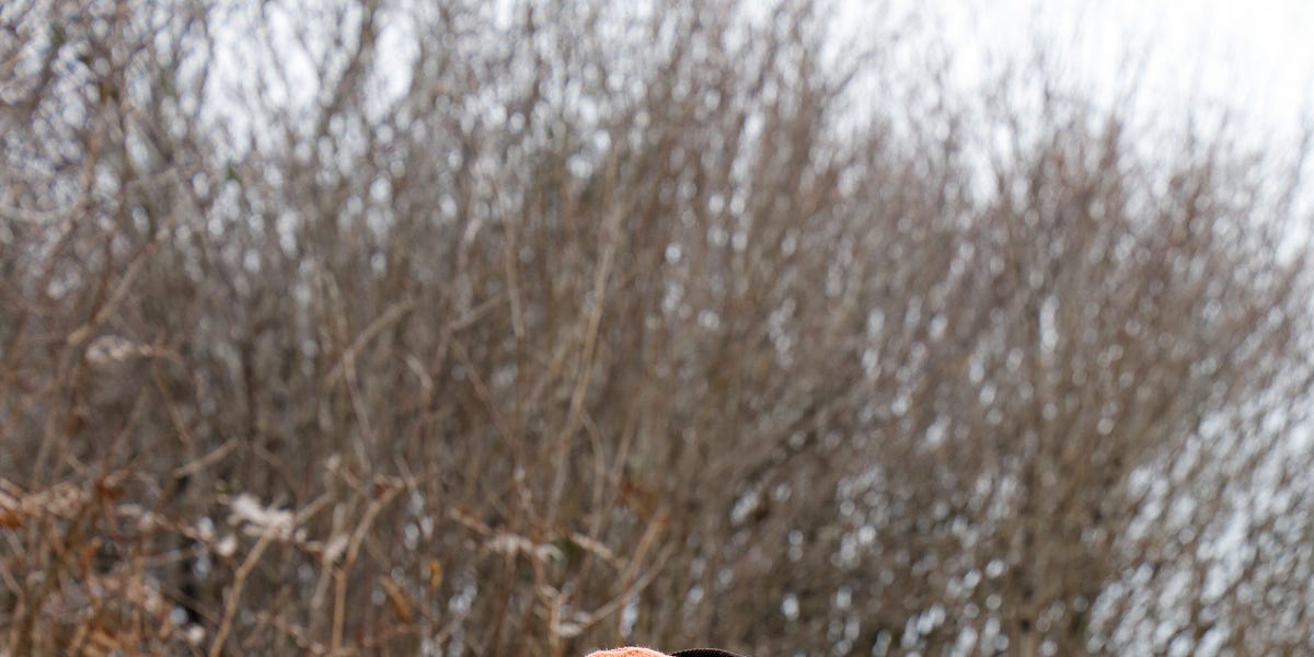 Introducing Interbeing: The Interconnectdness of Everything