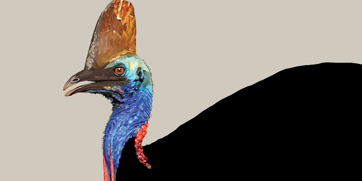 The Rainmaker - by The Cackle - Ricki Coughlan’s Substack