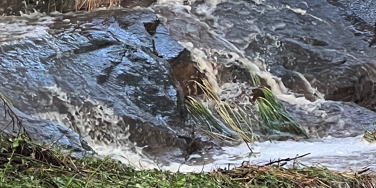 Quiet moments... - at Home with Mickey Robertson