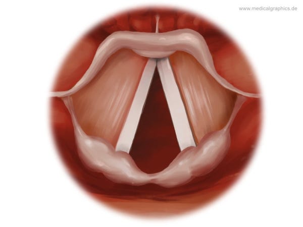 The Bernoulli principle and its misapplication in vocal pedagogy