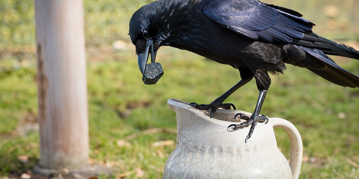 The thirsty crow - a short story for listening and reading practice