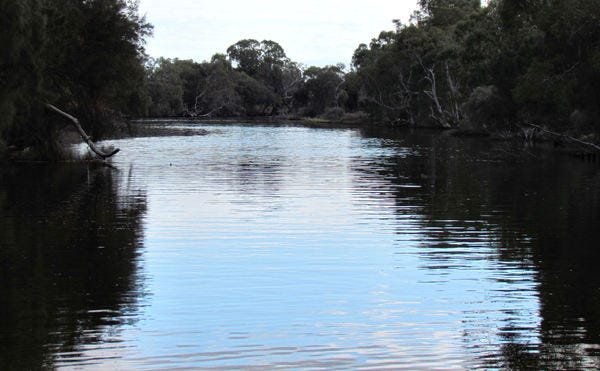 FOR CAITLIN - by Autistic Mystic - Sarah’s Substack