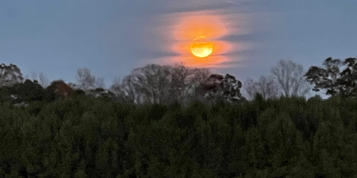 Moon - by Tinabeth Chapman - Tinabeth’s Substack