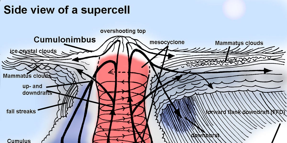REVIEW: The Man Who Rode the Thunder, by William H. Rankin
