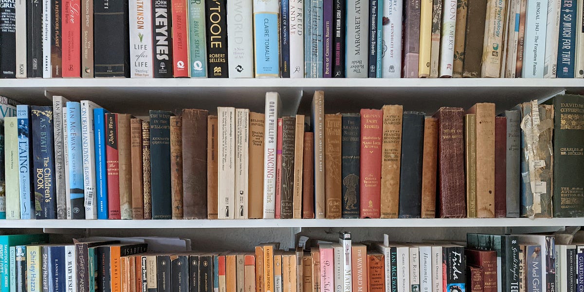 Book banners target public libraries