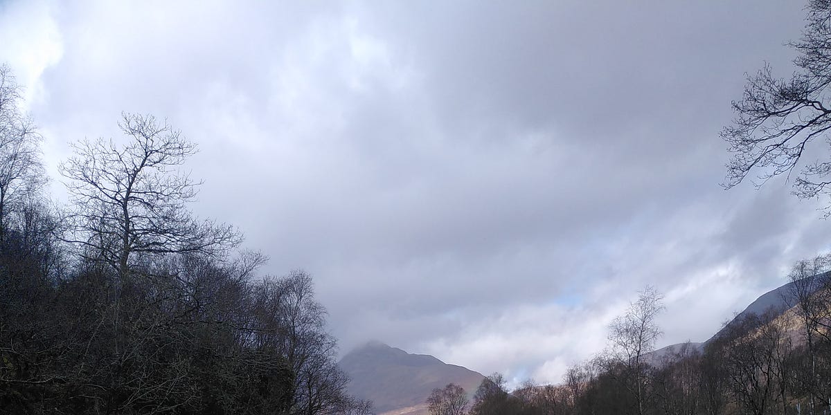 Weeds, Hills & Rivers - by Mhairi - Hefting