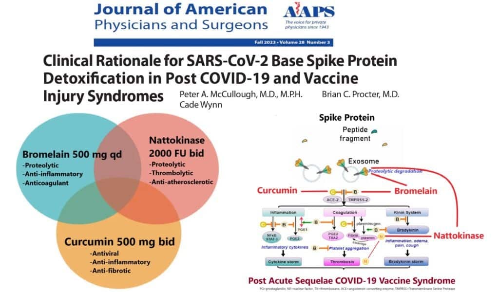 Base Spike Protein (BSP) Detoxification, dissolving, removal from your ...