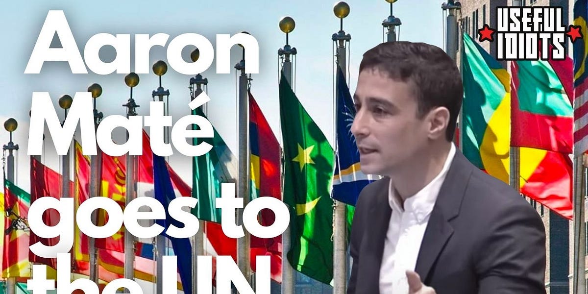 Aaron Maté vs British Diplomat at UN