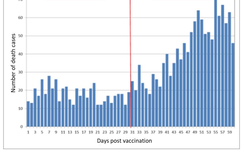 New Israeli MoH study shows COVID vax increases your risk of death over ...