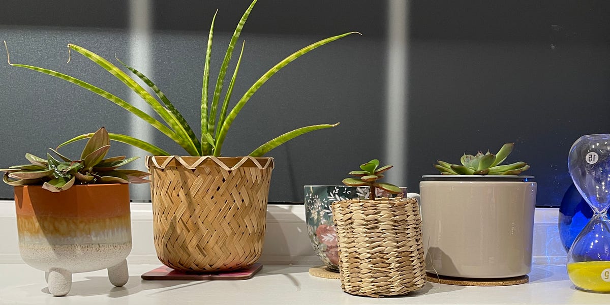 Now you see me... - by Izzy Moore - Threadnoodle