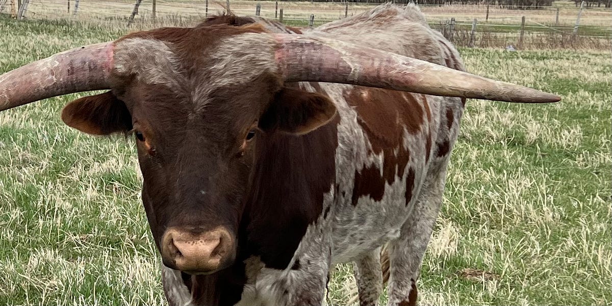 ATTENTION LIVESTOCK OWNERS: Dispatch Updating Livestock List