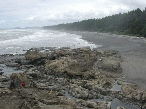 Specific Pacific - by Paul Bullard - Outlaw Verse