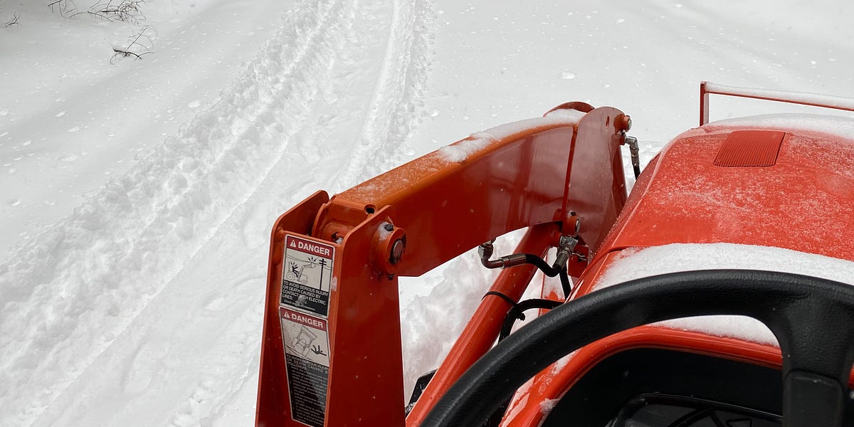 February 2023| Practical Self Reliance - by Ashley Adamant