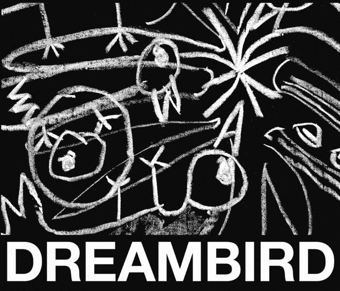 The Dreambird by Mitar Subotić & Goran Vejvoda