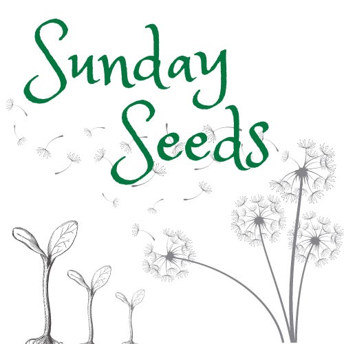 Sunday Seeds: November Edition - by Angela M Cowan