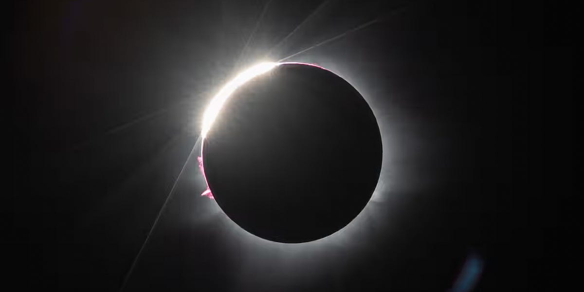 The Weird Times - by David Wilk - The Weird Times