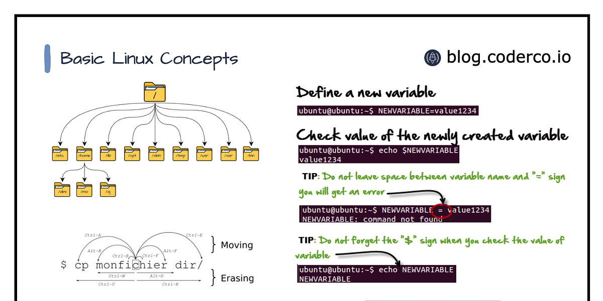Linux Series EP2: Basic Linux Commands and Concepts: A Comprehensive Guide to Mastering Linux