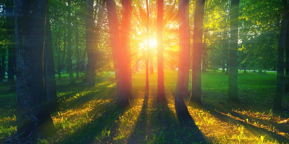 Discovering the Power of Perception