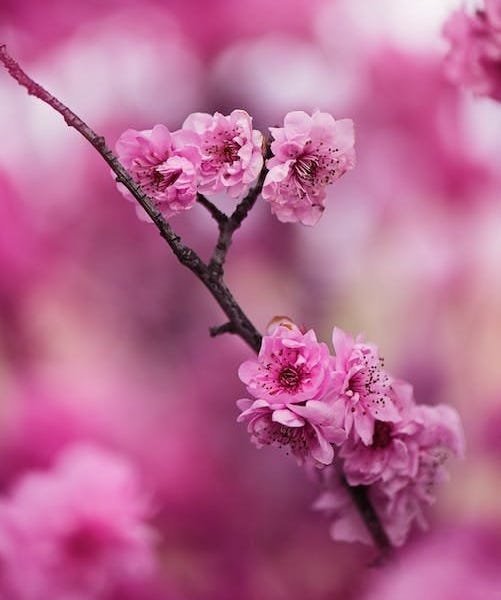 Tiny Acts of Love... - by Erin Schaden - Erin’s Substack