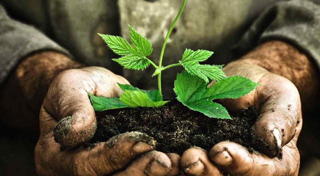 The Levels of Evangelization - by Carter Carruthers