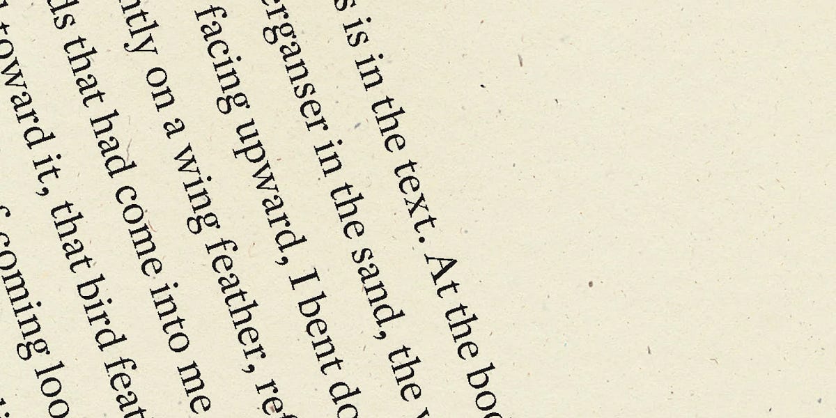 basic recon: June 2023 - by billy lennon - New Book Recon