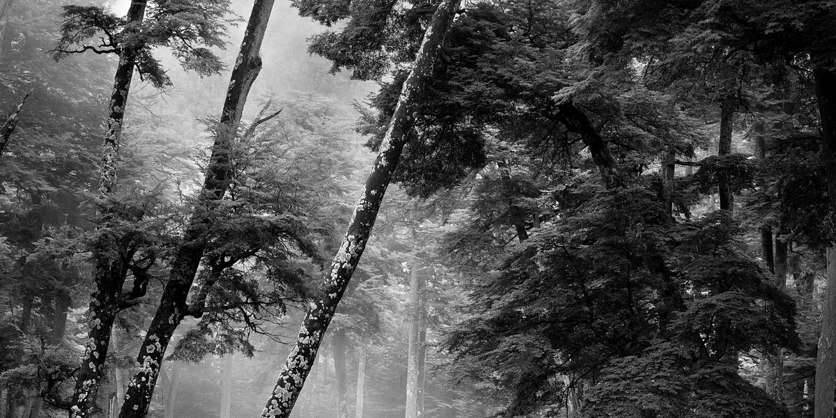 Esau Garcia - PHOTOSNACK