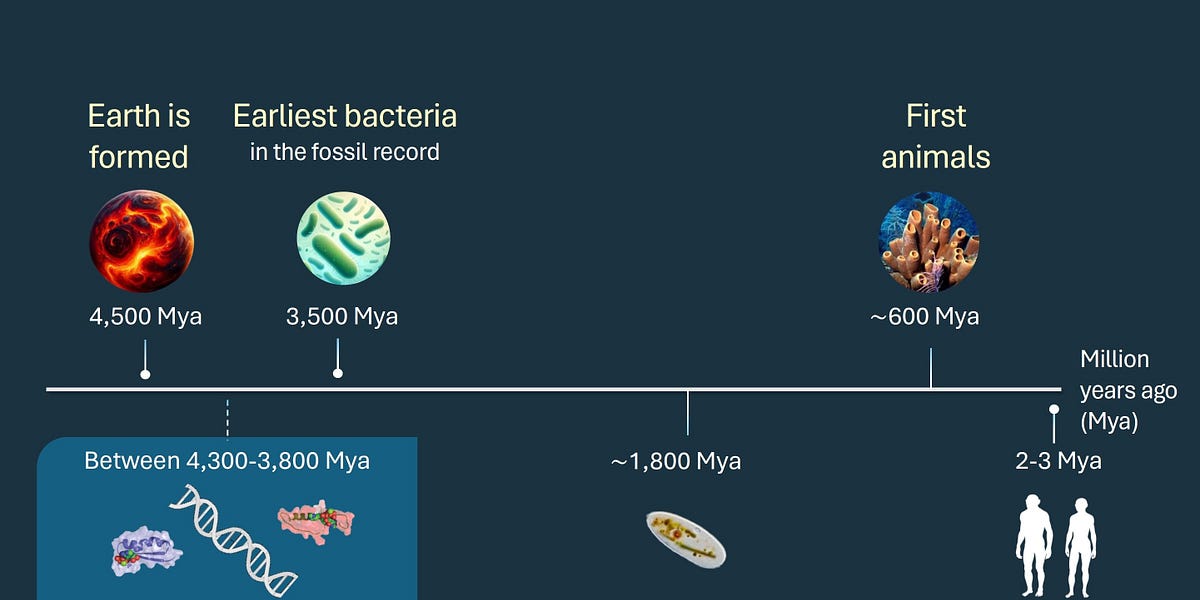 Adam and Eve Existed: They Created the Genetic Code