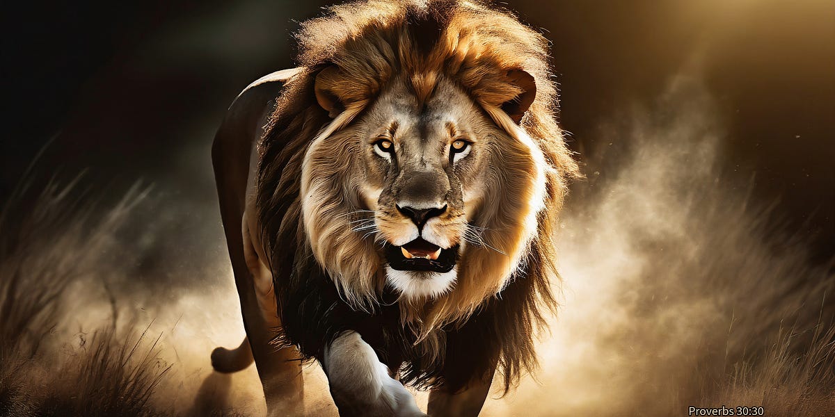 Behold... - Scripture Screensaver