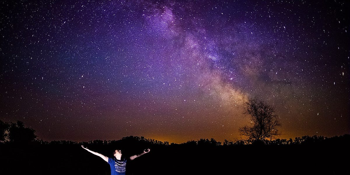 Gazing Outward - by Markael Luterra - The Dendroica Project