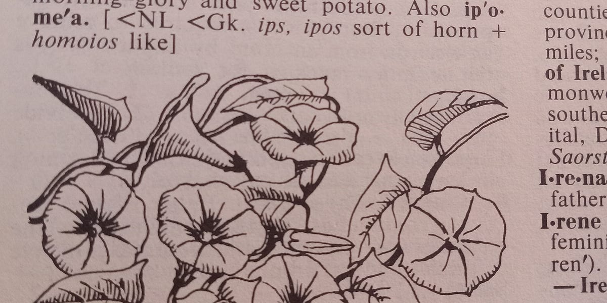 Vocabulary - by Angela DeCroce - The Kendall House