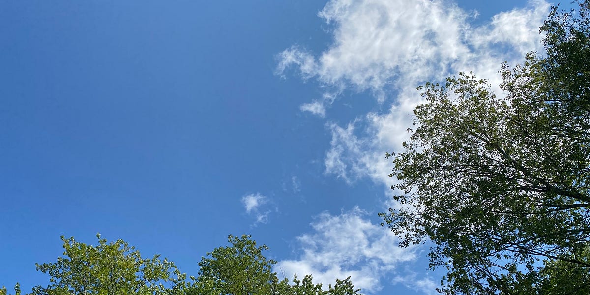 Daily Buzz | Water Rates to Go Up in 2024