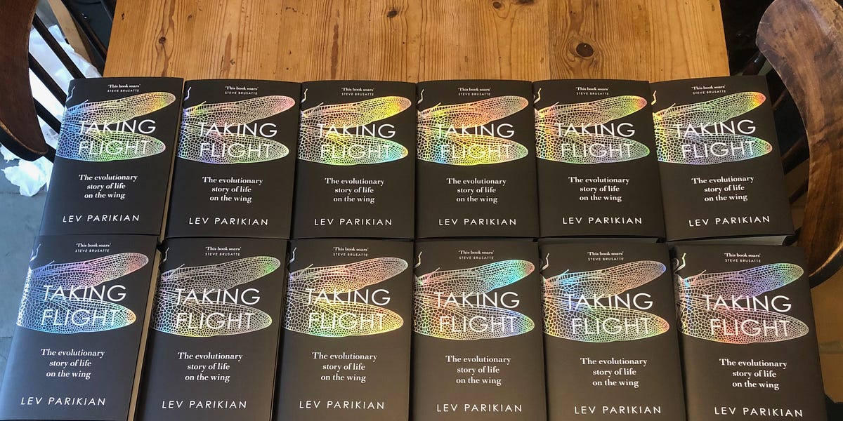 Taking Flight... takes flight - by Lev Parikian